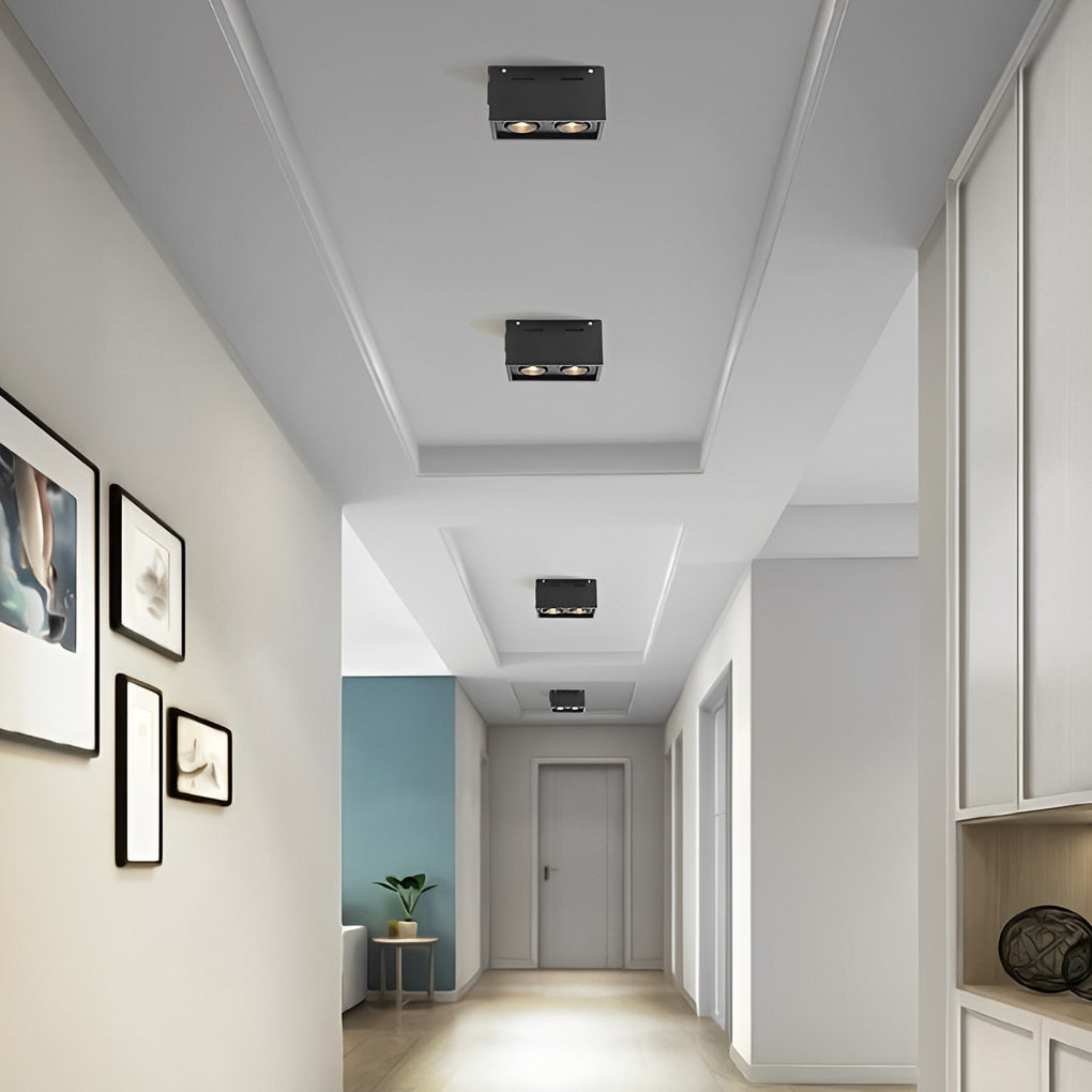 Rectangular 2 Lights Adjustable LED Modern Surface Mounted Spotlights ...