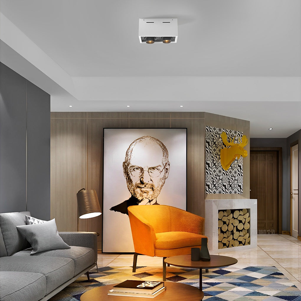 Rectangular 2 Lights Adjustable LED Modern Surface Mounted Spotlights ...