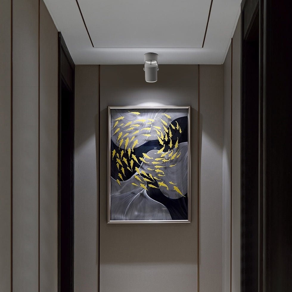 Adjustable Downlights | Modern Rotatable Ceiling Lamp – Dazuma