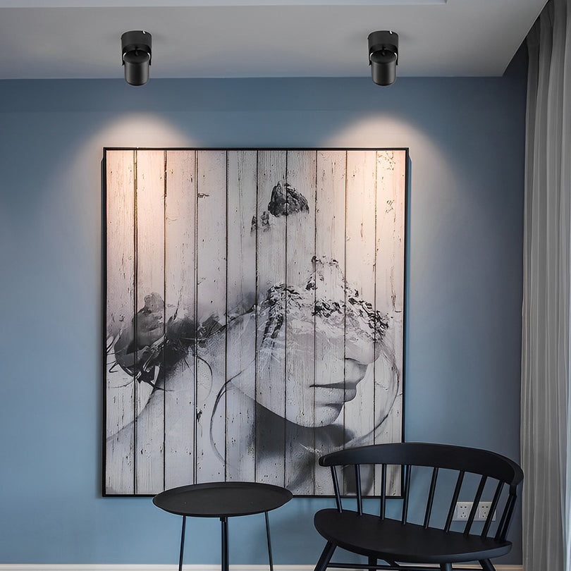 Adjustable Downlights | Modern Rotatable Ceiling Lamp – Dazuma