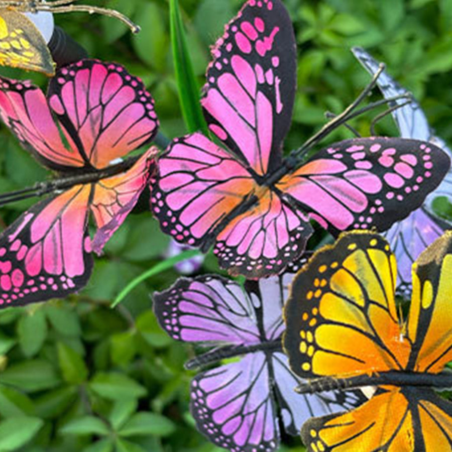 Butterfly Solar Garden Lights | Stake Light – Dazuma